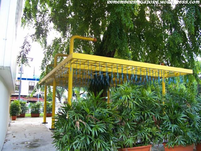 Tiong Bahru Bird Singing Corner | Remember Singapore