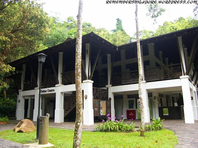 Bukit Timah Nature Reserve | Remember Singapore