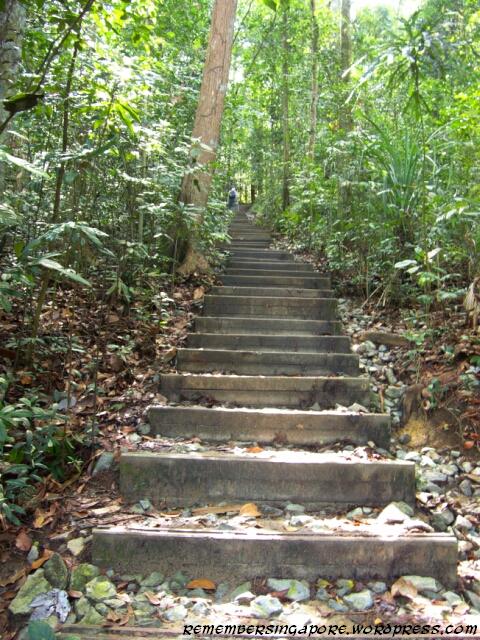 Bukit Timah Nature Reserve | Remember Singapore