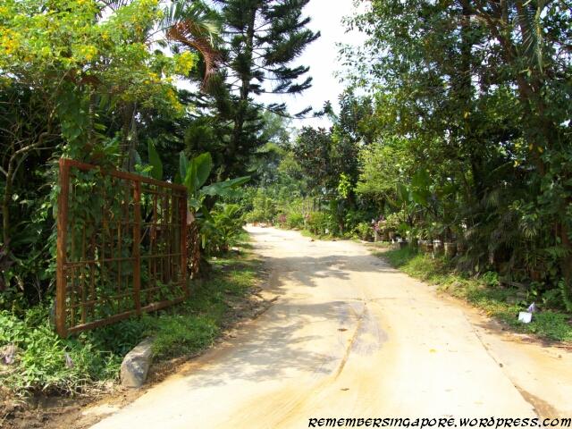 The Remaining Farmways at Seletar-Punggol | Remember Singapore