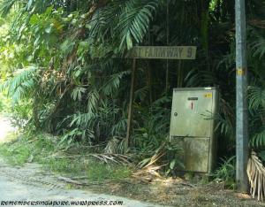 The Remaining Farmways at Seletar-Punggol | Remember Singapore