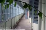 View Road and its Forgotten Former Hospital | Remember Singapore