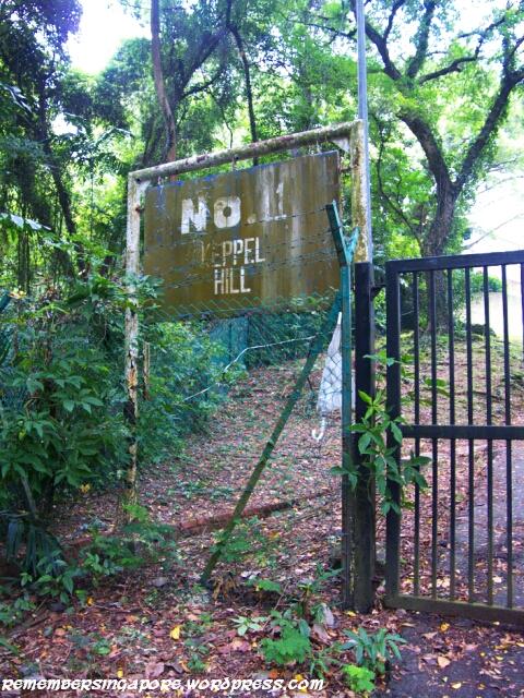 Exploring the Forgotten Keppel Hill Reservoir | Remember Singapore