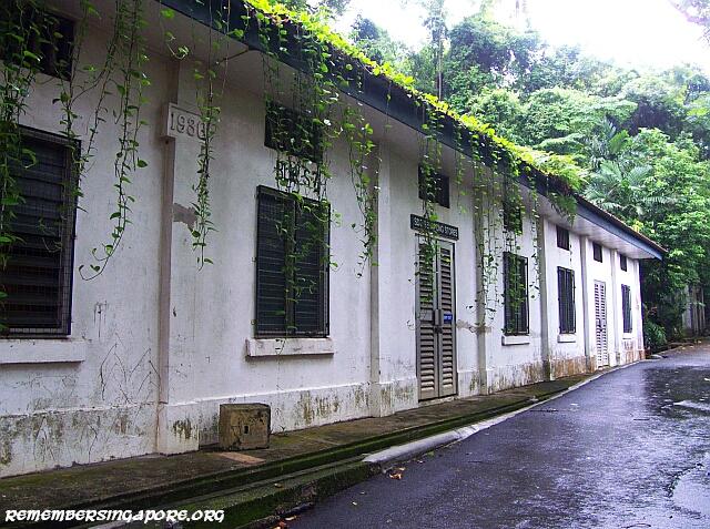 The Lost Cause and Forgotten Ruins of Fort Serapong | Remember Singapore