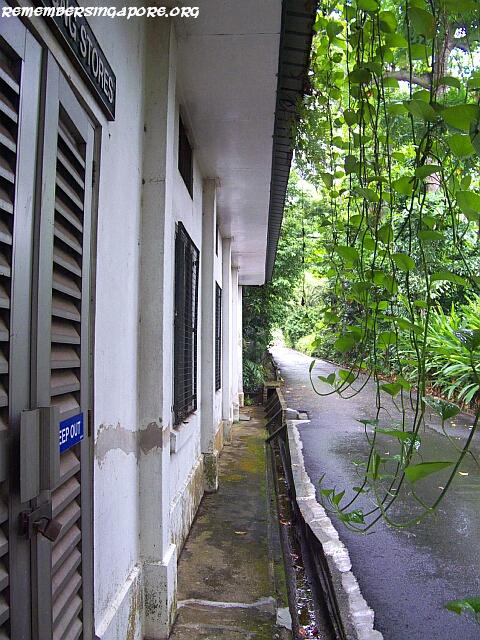 The Lost Cause and Forgotten Ruins of Fort Serapong | Remember Singapore