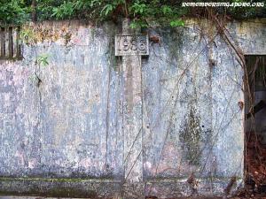 The Lost Cause and Forgotten Ruins of Fort Serapong | Remember Singapore