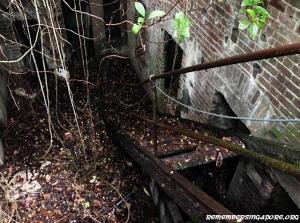 The Lost Cause and Forgotten Ruins of Fort Serapong | Remember Singapore