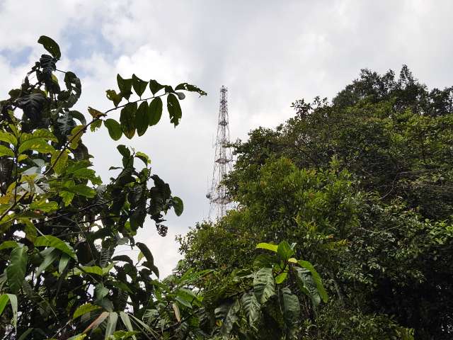 Gunung Pulai and its Links to Singapore | Remember Singapore