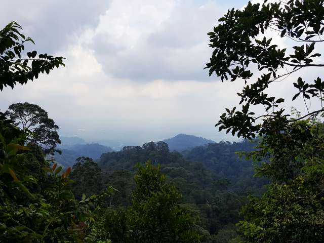 Gunung Pulai and its Links to Singapore | Remember Singapore