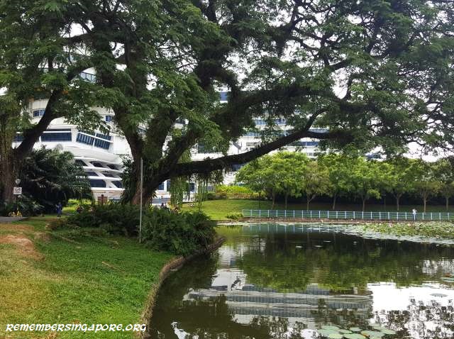 Goodbye Kampong Java Park | Remember Singapore