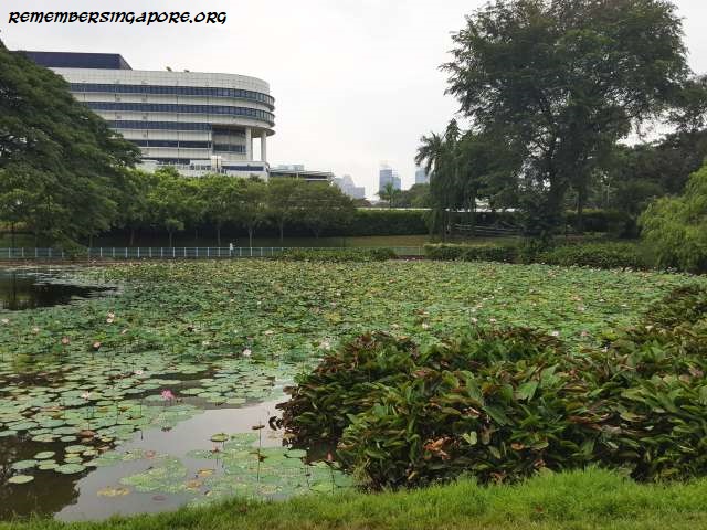 Goodbye Kampong Java Park | Remember Singapore