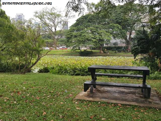 Goodbye Kampong Java Park | Remember Singapore