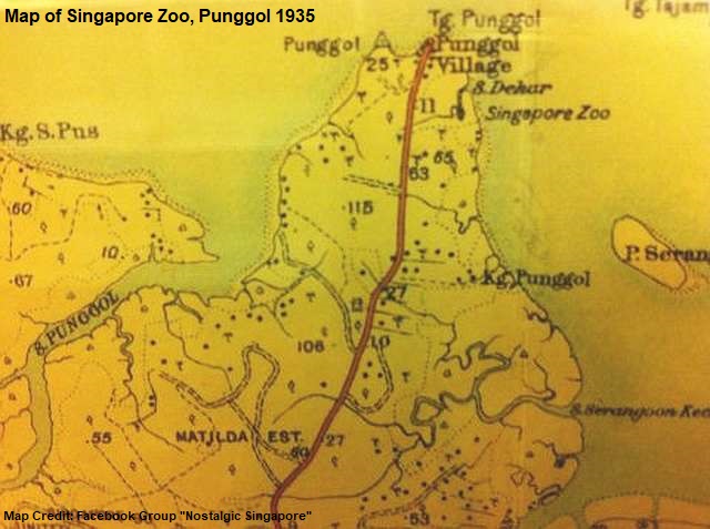 Retracing the 26 Tracks of Punggol Road | Remember Singapore