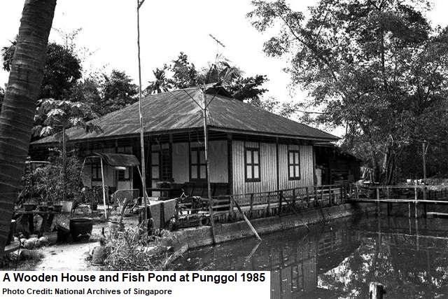 Retracing the 26 Tracks of Punggol Road | Remember Singapore
