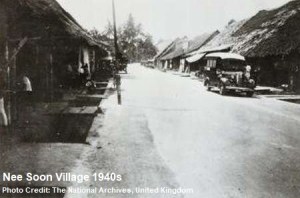 From Nee Soon Village to Springleaf Park | Remember Singapore