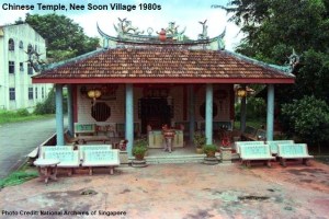 From Nee Soon Village to Springleaf Park | Remember Singapore