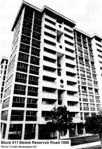 The Once Mysterious Bedok and Woodlands Flats | Remember Singapore