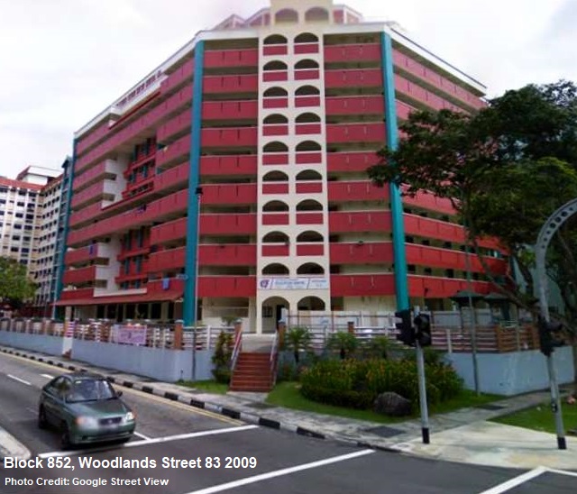 The Once Mysterious Bedok and Woodlands Flats | Remember Singapore