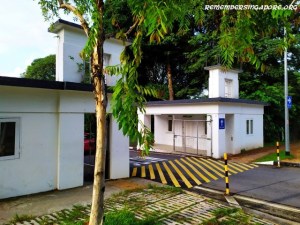 Looking for Bits and Pieces of Old Seletar | Remember Singapore