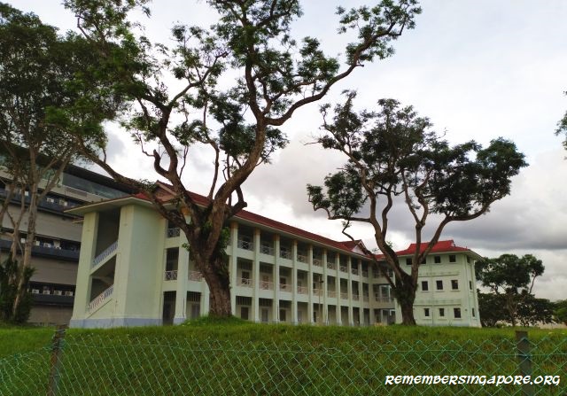 Looking for Bits and Pieces of Old Seletar | Remember Singapore