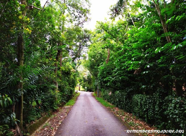 Adam Park and its WWII Past | Remember Singapore