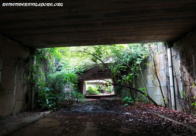 Remnants of Singapore’s Lost Roads – Boh Sua Tian Road | Remember Singapore