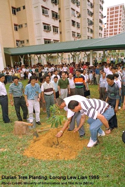 The Small Quiet HDB Estate of Lorong Lew Lian | Remember Singapore