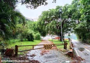 A Last Look at Turf City | Remember Singapore