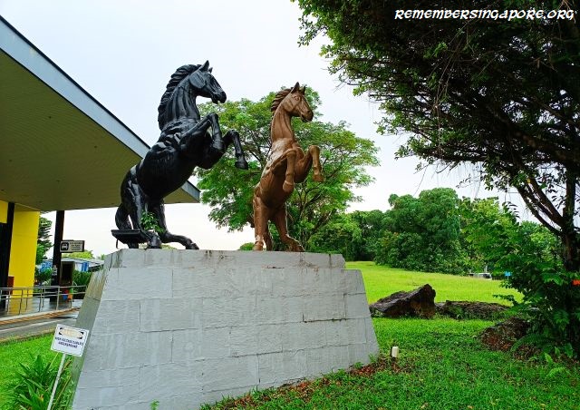 A Last Look at Turf City | Remember Singapore