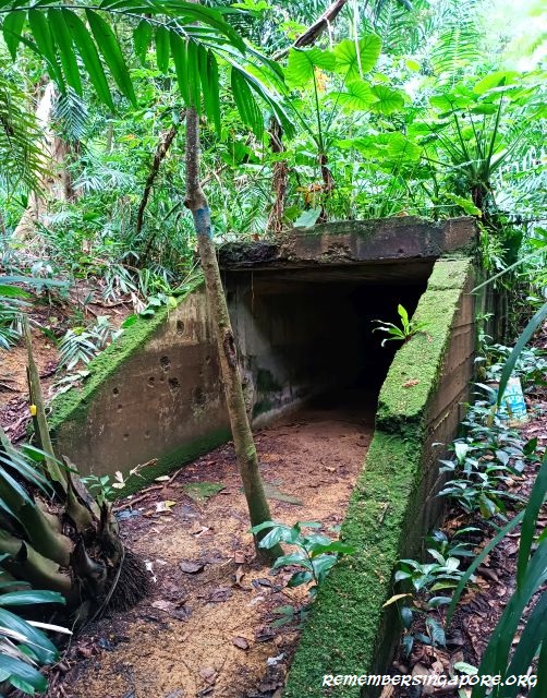 Exploring the Marsiling Tunnels | Remember Singapore