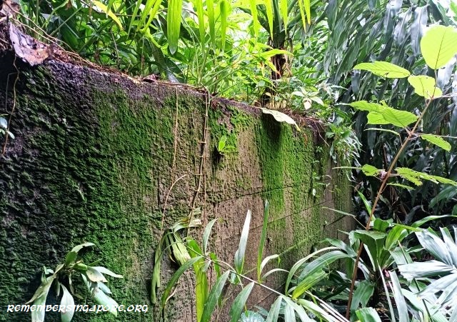 Exploring the Marsiling Tunnels | Remember Singapore