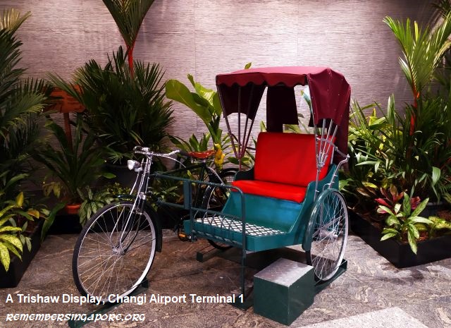 End of the Road for Trishaws in Singapore | Remember Singapore