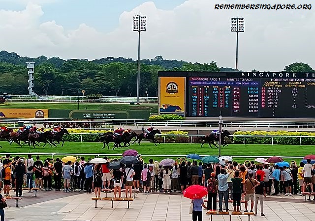 Singapore’s 182 Years of Horse Racing Reaches the Finishing Line ...