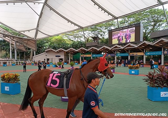 Singapore’s 182 Years of Horse Racing Reaches the Finishing Line ...