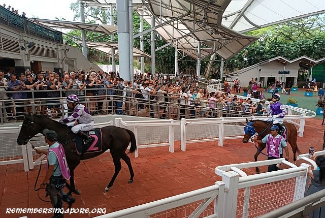 Singapore’s 182 Years of Horse Racing Reaches the Finishing Line ...