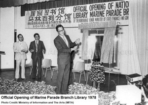 The Past, Present and Future of Standalone Public Libraries in ...